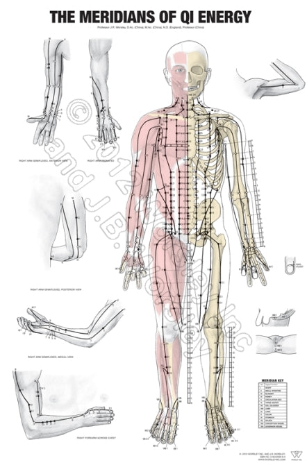 Meridian Charts (Set of 4) – Worsley Institute Website