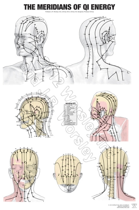 Meridian Charts (Set of 4) – Worsley Institute Website