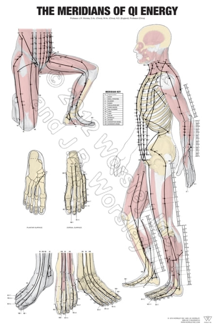 Meridian Charts (Set of 4) – Worsley Institute Website